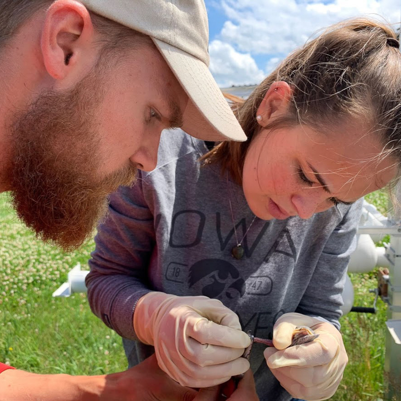College Students | Iowa Lakeside Laboratory - The University of Iowa